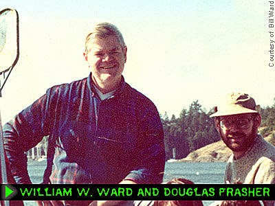 水母的綠色螢光如何造成生命科學的革命性發展 - 科學，就是醬